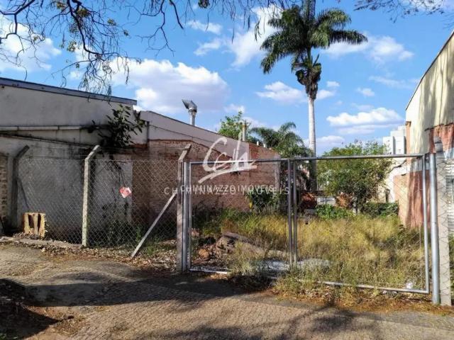 Terreno para alugar em Campinas, Cambuí, com 300 m²