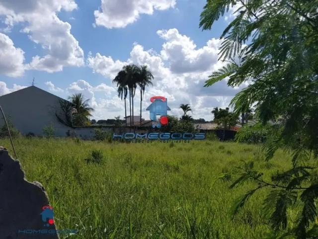 Terreno para alugar em Campinas, Jardim das Paineiras, com 1000 m²