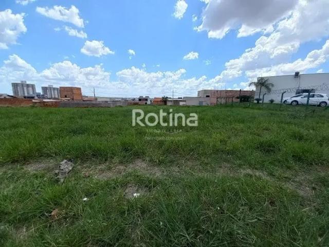 Terreno para alugar, GSP Life I Uberlândia/MG Rotina Imobiliária