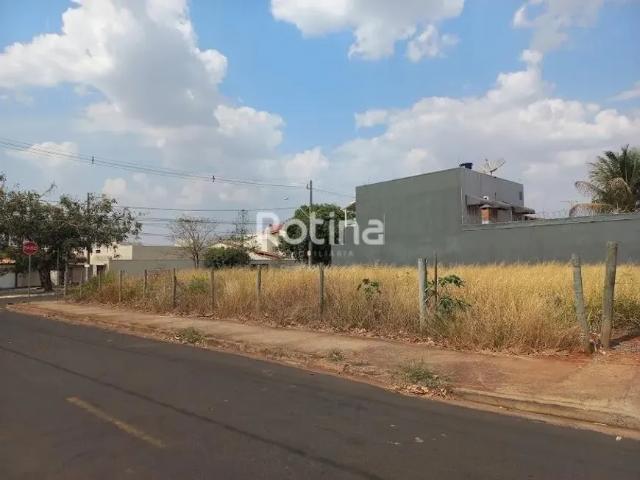 Terreno para alugar, Jardim das Palmeiras Uberlândia/MG Rotina Imobiliária