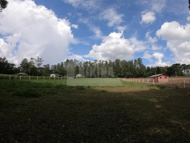 Terreno para alugar por R$ 3000.00, 4000.00 m2 colonia dona luiza ponta grossa/pr