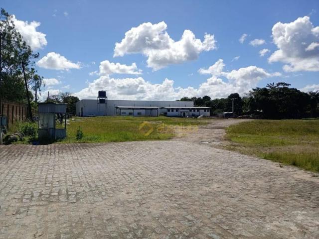 Terreno para alugar, 10000 m² por R$ 50.000,00/mês Guabiraba Recife/PE