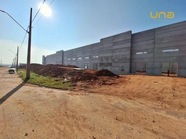Terreno para alugar, 2100 m² por R$ 8.950,00/mês Eucaliptos Fazenda Rio Grande/PR