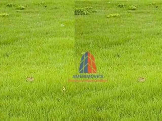 Terreno para alugar, 390 m² por R$ 1.400,00/mês Vila Dainese Americana/SP