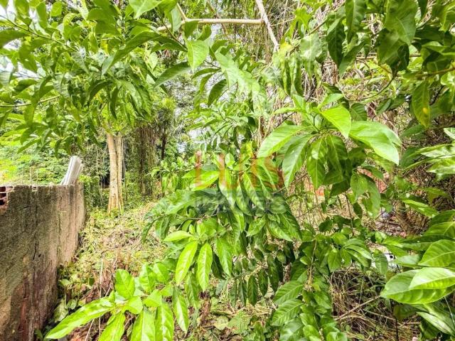 Terreno para alugar, 450 m² por R$ 3.000/mês Itaipu Niterói/RJ TE1042