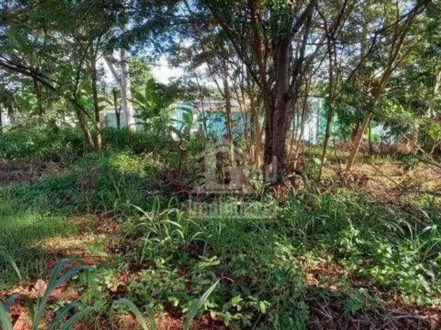 Terreno para alugar, 5400 m² por R$ 6.000,00/mês Ribeirânia Ribeirão Preto/SP