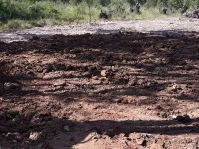 Terreno para alugar, 550 m² por R$ 500,00/mês Aberta dos Morros Porto Alegre/RS