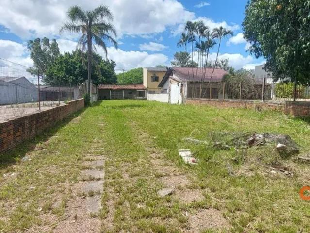 Terreno para alugar, 550 m² por R$ 5.127,20/mês Cavalhada Porto Alegre/RS