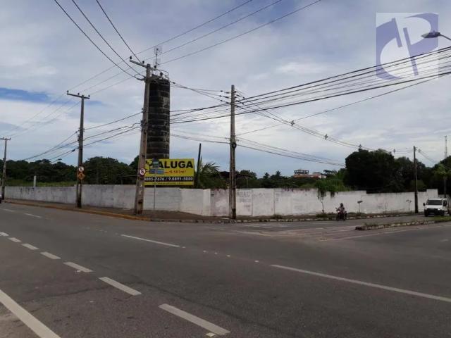Terreno para alugar, 9600 m² por R$ 22.000,00/mês Sapiranga Fortaleza/CE
