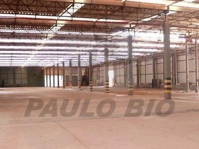 Terreno para aluguel em Betel