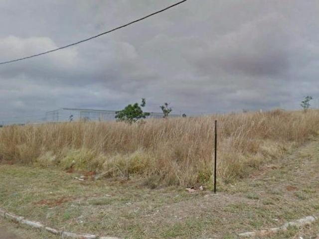 Terreno para aluguel Em Santa Maria