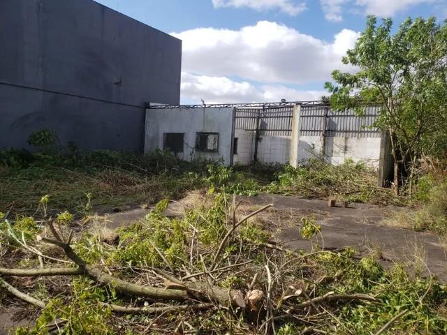 Terreno para aluguel em São José São Caetano do Sul | Cinerama Imóveis