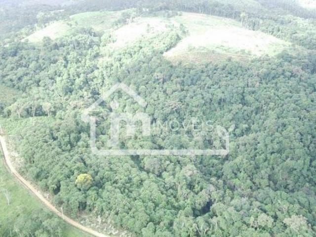 Terreno para formação de Chácaras à venda na Estrada da Ribeira – Campo Largo/PR