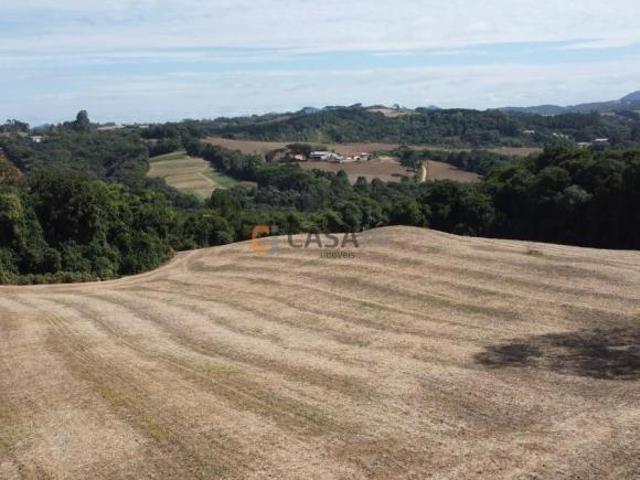 TERRENO PARA FORMAÇÃO DE CHÁCARA/PLANTIO 30 MINUTOS DO PARQUE BARIGUI, RIO, LINDA VISTA