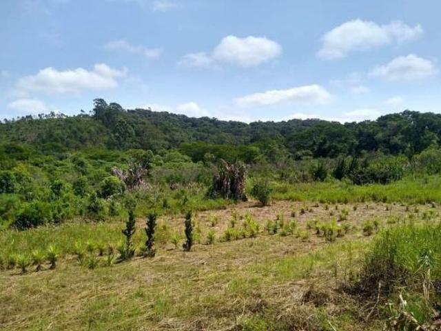 Terreno para formação sítio em Santa Branca com 41.500ms2