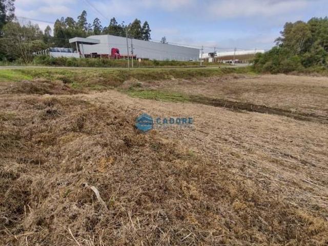 Terreno para industria com 80M Frente VRS 864