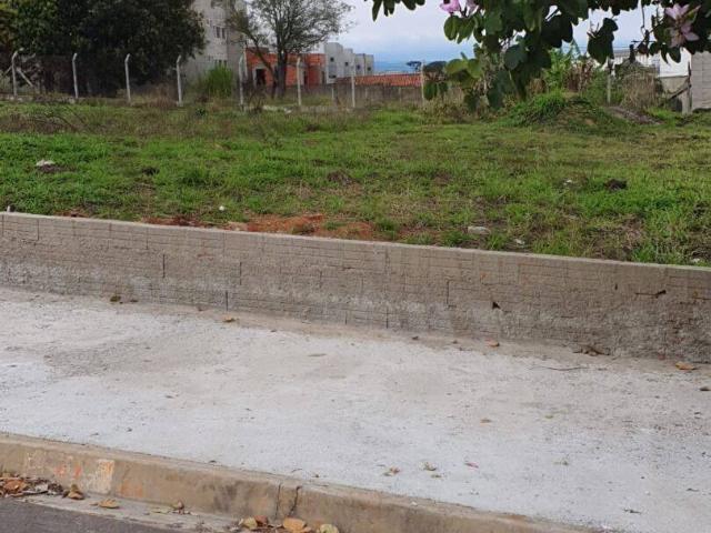 Terreno para locação Cajuru TE0859