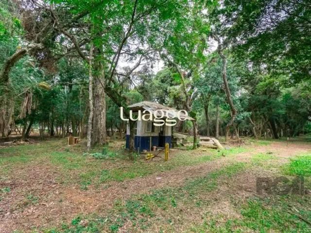 Terreno para Locação/Aluguel 7.267m², Pedra Redonda