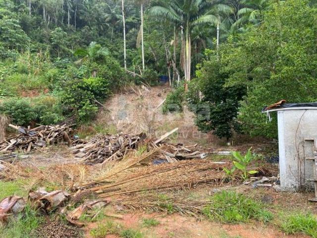 Terreno para sítio à venda em Nova Trento