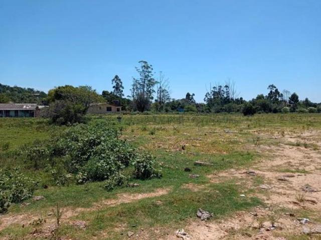 Terreno para sitio ou construção de condominio Ponta Grossa