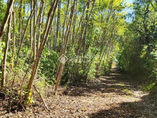 TERRENO PARA SÍTIO OU CHÁCARA EM MORRO REUTER RS