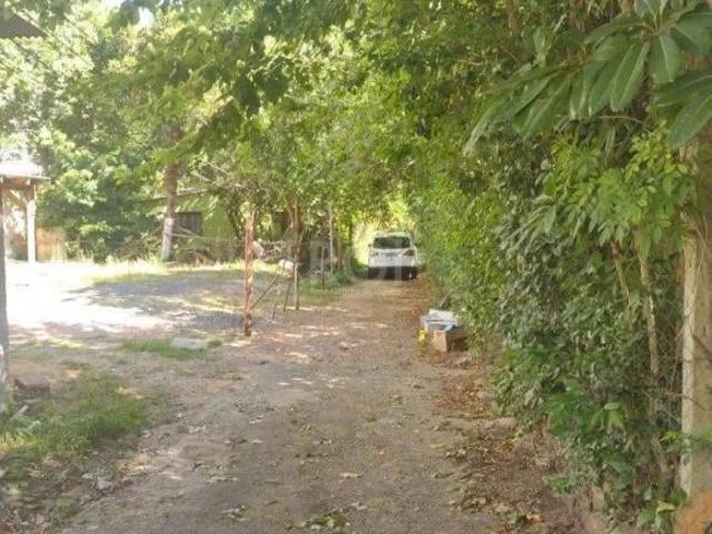 Terreno para Venda 0m², 0 dormitórios, Tristeza