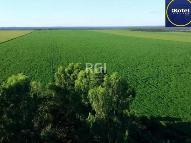 Terreno para Venda 0m², 0 dormitórios, Centro
