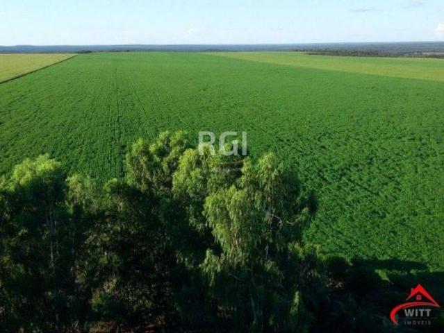 Terreno para Venda 0m², 0 dormitórios, Centro