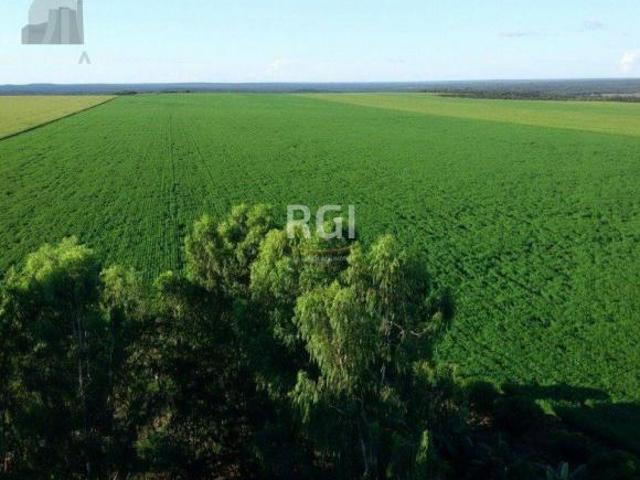Terreno para Venda 0m², 0 dormitórios, Centro