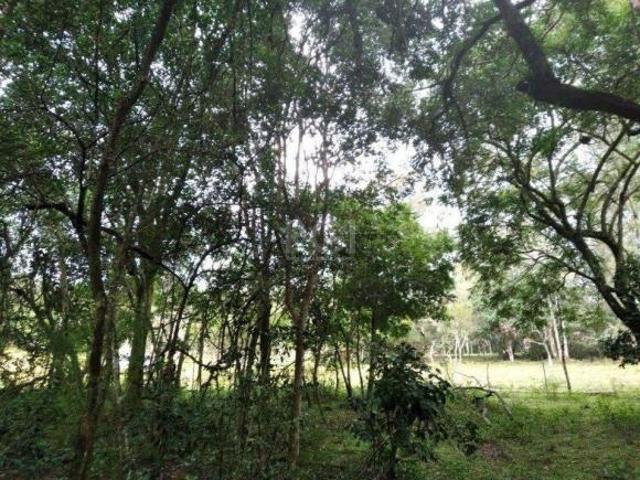 Terreno para Venda 0m², 0 dormitórios, Central