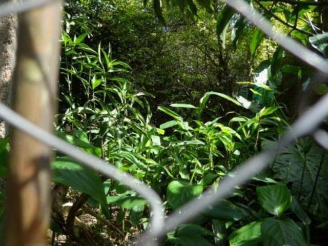 Terreno para Venda 0m², 0 dormitórios, Espirito Santo