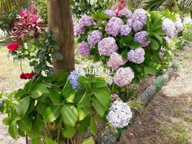Terreno para Venda 0m², 0 dormitórios, Itapuã
