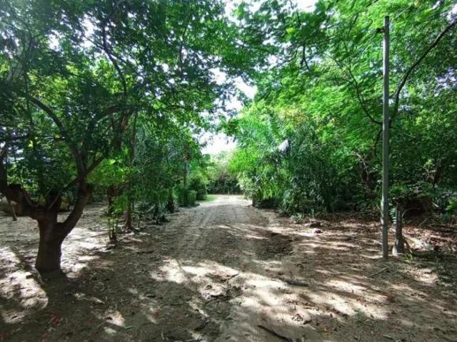 Terreno para venda, 1029m², Nova Esperança, Cuiabá