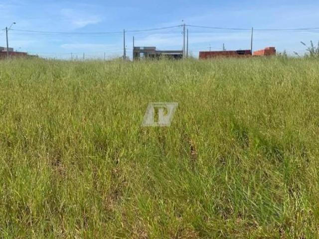 Terreno para Venda 250 M² CONQUISTA