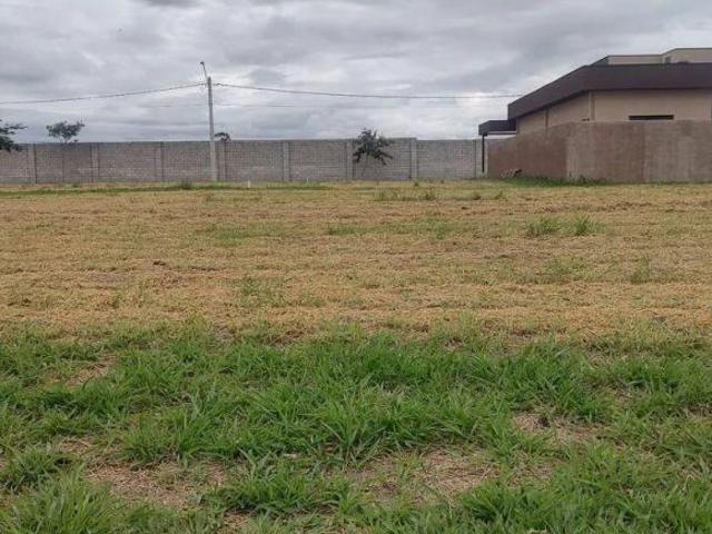 Terreno para venda, 250 m² por R$ 375.000 Jardim das Flores São José dos Campos/SP