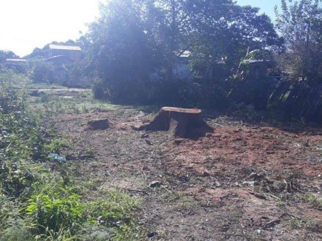 Terreno para Venda 300M², Lageado, Porto Alegre
