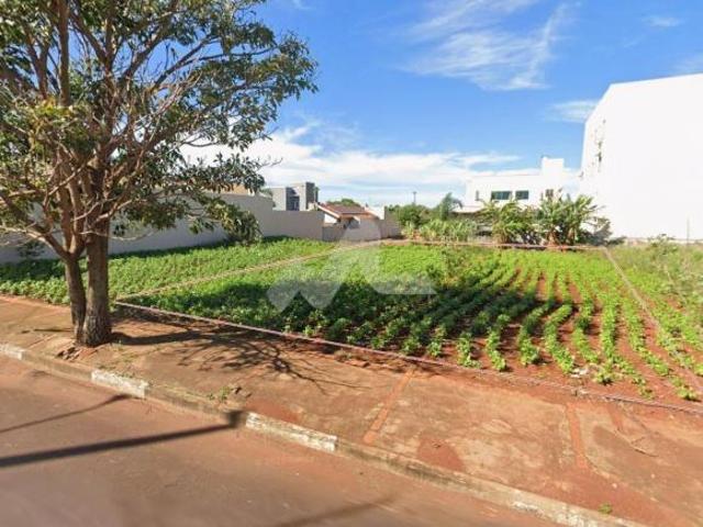 Terreno para venda, 390m, Vila Industrial, TOLEDO PR