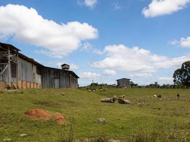 Terreno para Venda • 40.000 m² • São José dos Pinhais PR