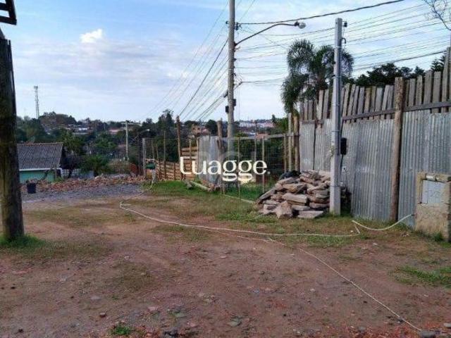 Terreno para Venda 480m², 0 dormitórios, Cecília