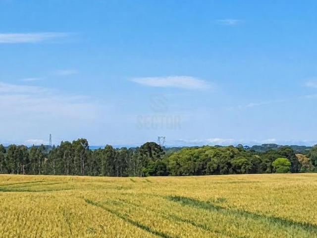 Terreno para Venda • 53.240 m² • São José dos Pinhais PR