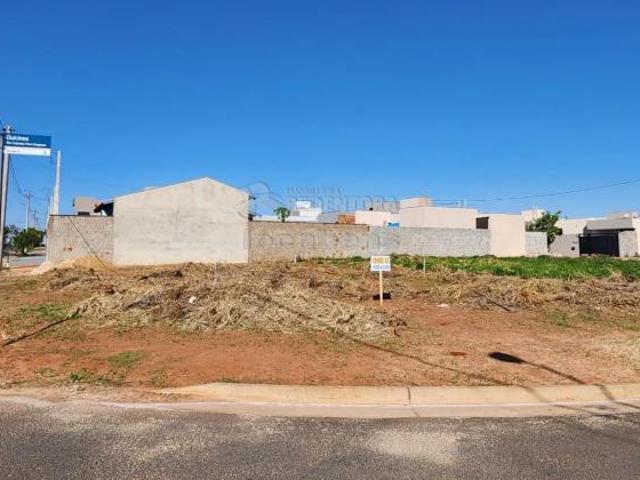 Terreno para Venda com 317,22m² Setvalley III