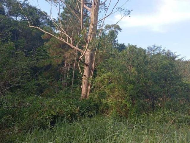 Terreno para Venda, BARNABES