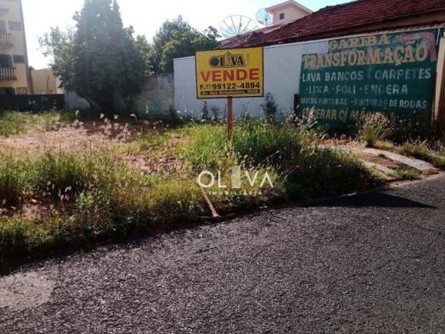 Terreno para venda e aluguel em Vila Angélica de 341.00m²