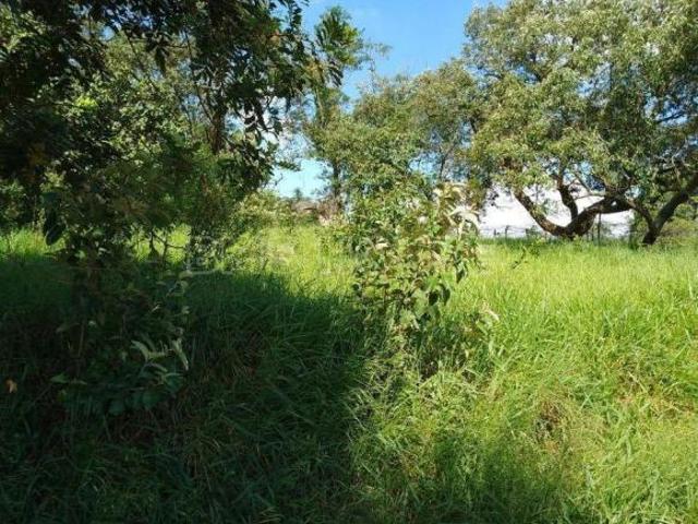 Terreno para Venda em Cotia, Granja Viana