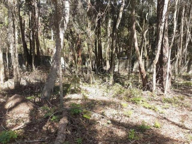 Terreno para Venda em Cotia, Granja Viana