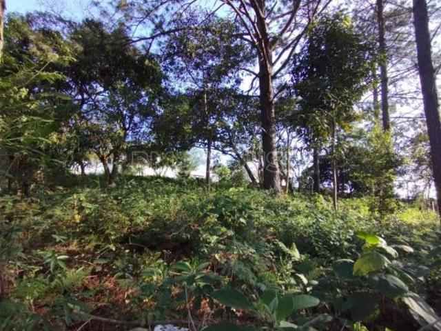 Terreno para Venda em Cotia, Granja Viana