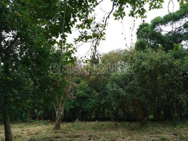 Terreno para Venda em Cotia, Jardim Colibri