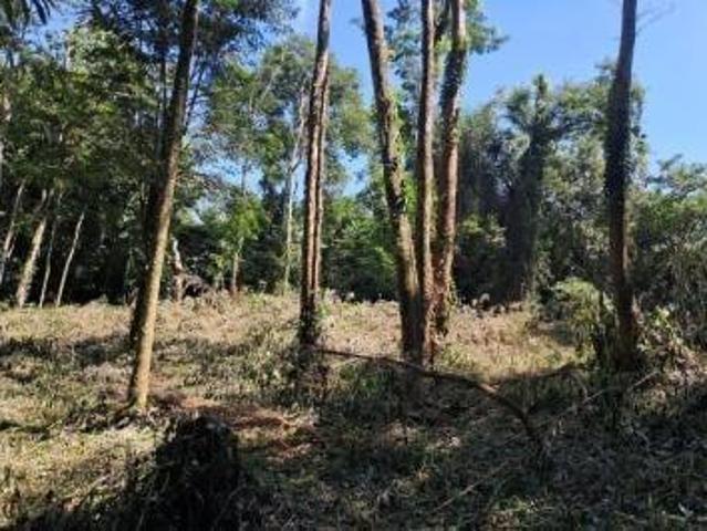 Terreno para Venda em Cotia, Paisagem Renoir