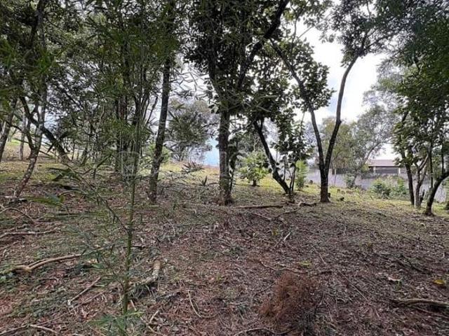 Terreno para Venda em Cotia, Vila de São Fernando