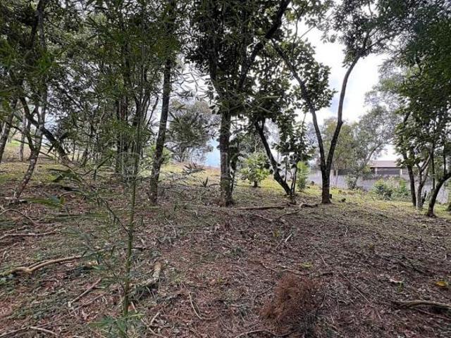 Terreno para Venda em Cotia, Vila de São Fernando